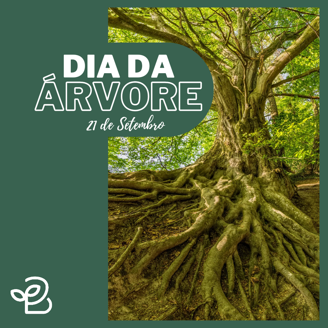 Dia da Árvore – Bioma