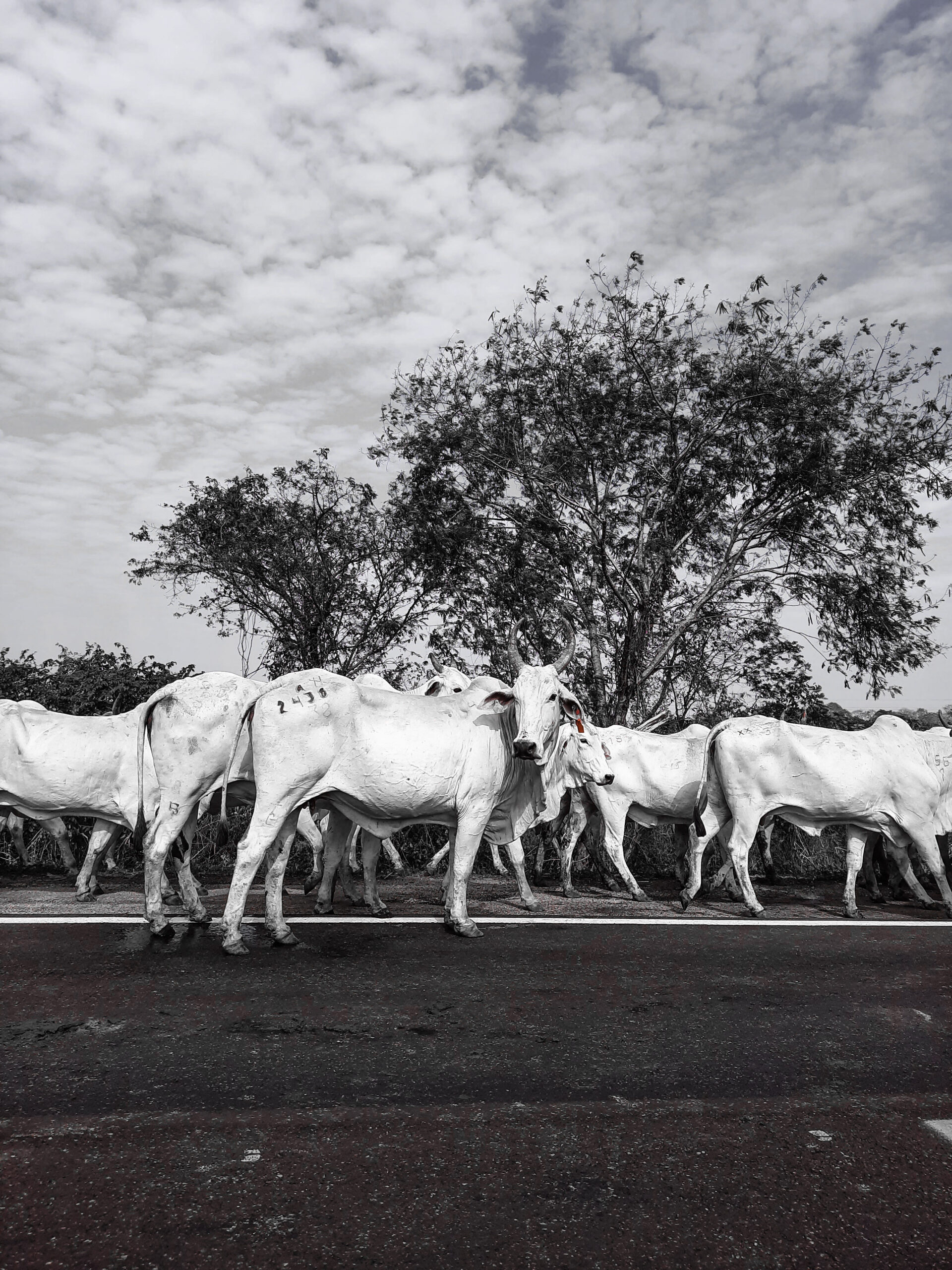 Concurso Fotográfico (2023 – XXXIX SEMAGEO) – 41 SEMAGEO
