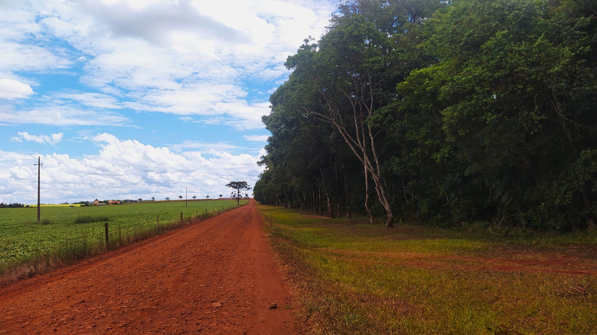 Concurso Fotográfico (2023 – XXXIX SEMAGEO) – 41 SEMAGEO