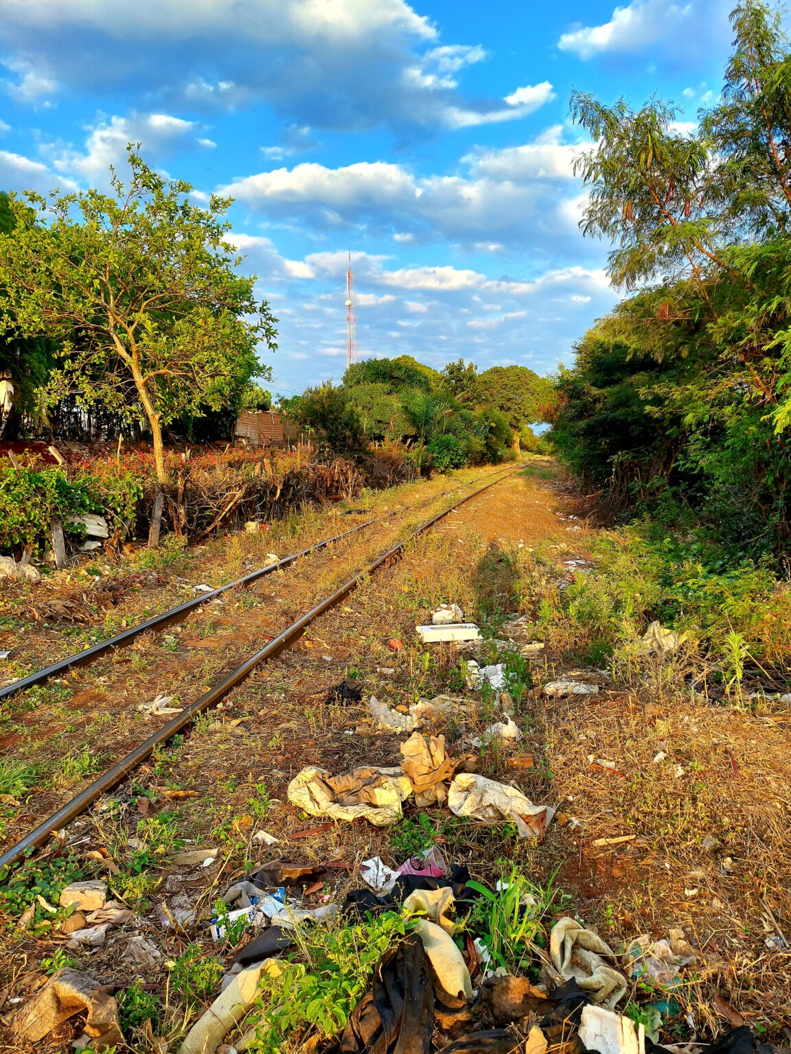 Concurso Fotográfico (2023 – XXXIX SEMAGEO) – 41 SEMAGEO