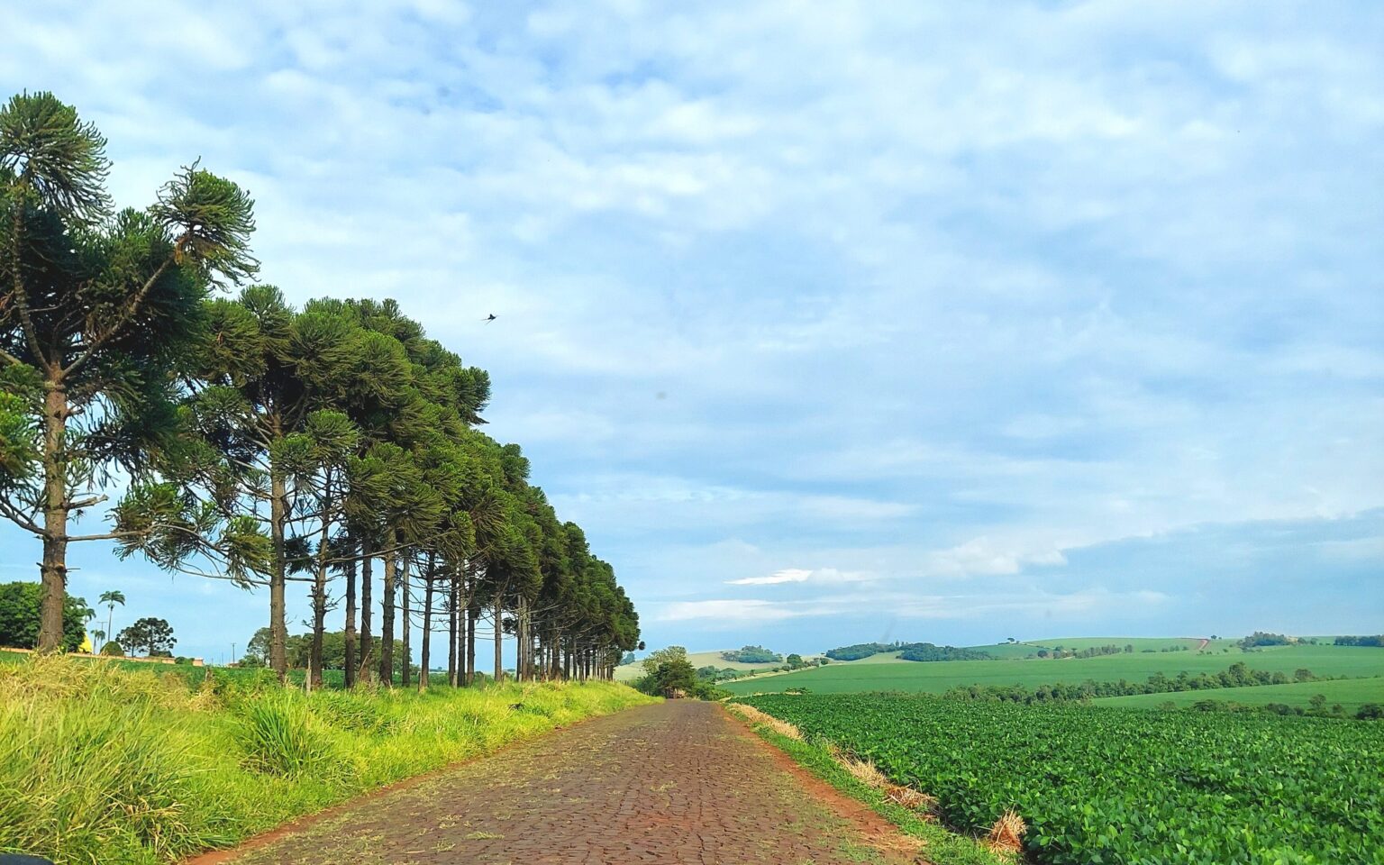 Concurso Fotográfico (2023 – XXXIX SEMAGEO) – 41 SEMAGEO